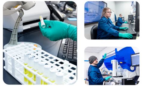 Molecular Testing Labs Clinical And Diagnostic Lab Partner