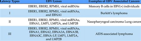 Ebv Gene Expression In Different Types Of Latency Download
