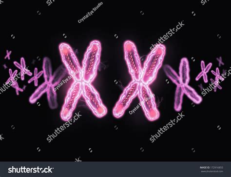 Determining Sex Baby Images Stock Photos Vectors Shutterstock