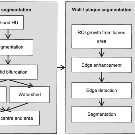 The Segmentation Protocol Download Scientific Diagram