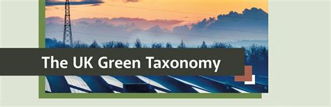 Appg On Esg Publish The Uk Green Taxonomy