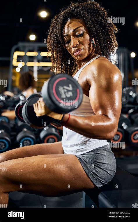 Female Bodybuilder Doing The Seated Dumbbell Bicep Curl Stock Photo Alamy