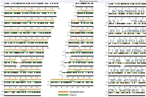 Whole Genome Long Read Sequencing
