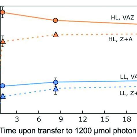 Pools Of The Xanthophyll Cycle Pigments Vaz Ascorbate And