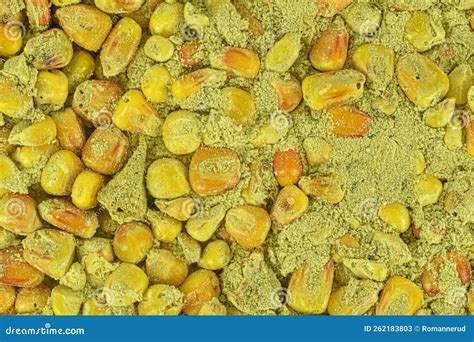 Moldy Corn Kernels Aflatoxin Aspergillus Flavus And Aspergillus