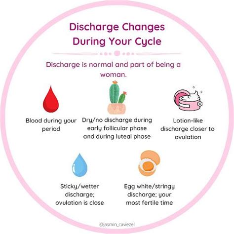 Whats Up With Vaginal Discharge Your Period Called