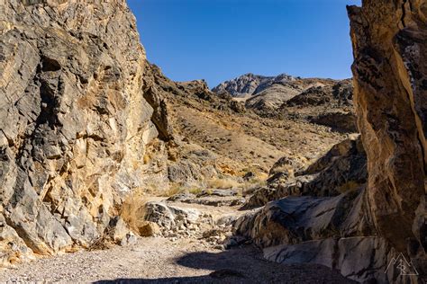 Steele Pass Saline Preservation Association