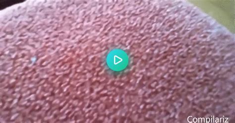 Oo Ima Ninja  On Imgur