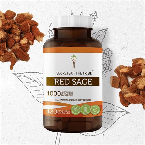 Buy Secrets Of The Tribe Red Sage 120 Capsules 500 Mg Organic Red