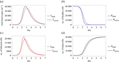 Comparison Of The Ode Model Solid Lines And The Hybrid Pde Abm Model Download Scientific