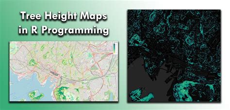 R Programming And Data Science Moderated By Statistics Globe 🌳 Tree