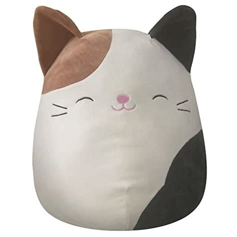 I Tested Pumpkin Cam The Adorable Squishmallow Cat Heres Why You