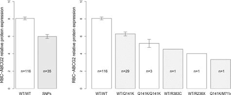 Genetic Polymorphisms And Decreased Protein Expression Of Abcg2 Urate