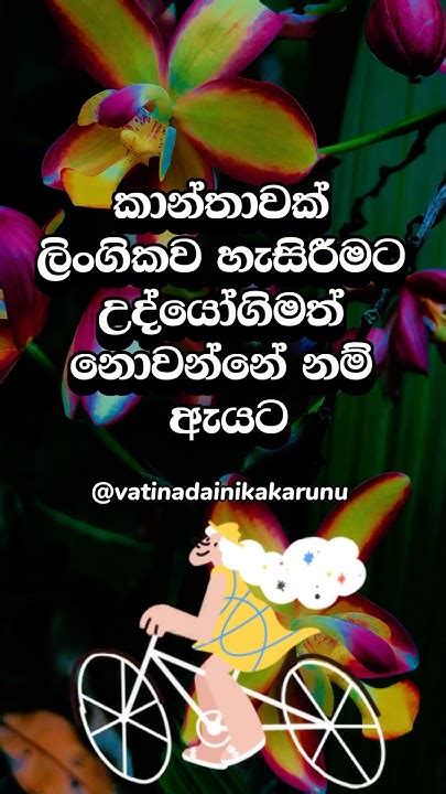 මෙන්න එයාට එකම බෙහෙත 😍 Shorts Education Facts Youtube