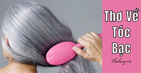 Thơ Về Tóc Bạc Hay Nhất 16 Bài Thơ Vui Về Tóc Bạc