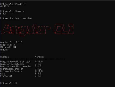 angular 앵귤러 배우기 1 설치 install 뚜루뚱 스토리
