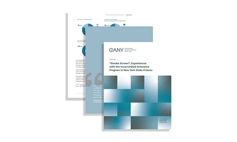 Issue Based Reports And Fact Sheets — Correctional Association Of New York