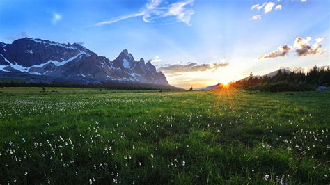 Amazon Screensaver Images Locations At Grady Naylor Blog