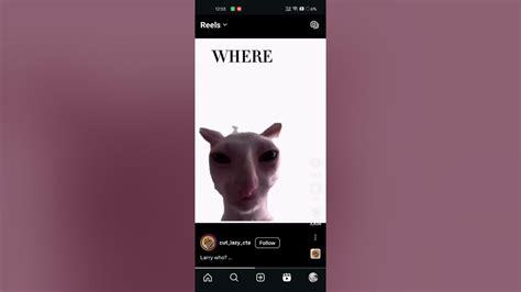 Who Is Larray Larray Instagram Edit Youtube