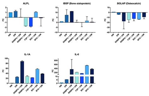 Evaluation Of Gene Expression By Rt Qpcr The Osteogenic Download