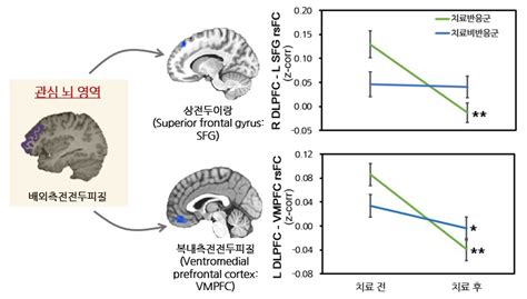 서울대학교병원