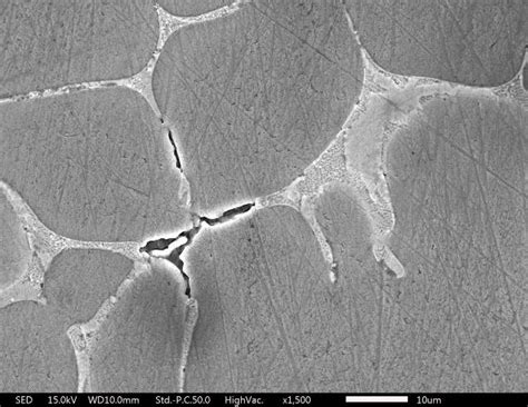Interdendritic Shrinkage Porosity In The Castings Rem Left Casting Download Scientific