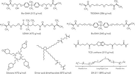 Structural Formula Of Base Monomers Formulas Provided By The Download Scientific Diagram
