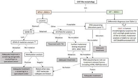 diagnostic and molecular testing algorithm for gist our gist