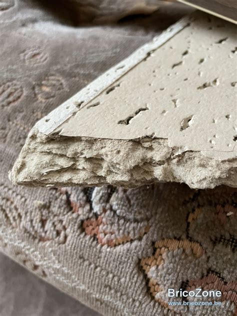 Amiante Faux Plafond