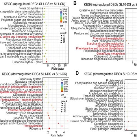 Principal Component Analysis On Transcriptome Analysis In Two Shanlan