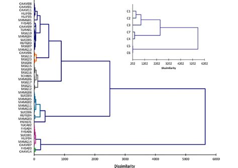 Dendrogram Based On Euclidean Distance Constructed With Data From The