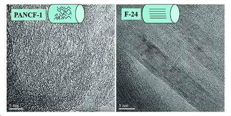 Aggregation Structures Of Different Fibers Download Scientific Diagram