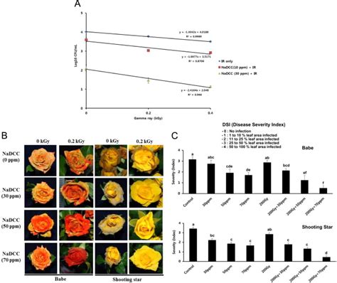 Synergistic Effect Of Combined Treatment On B Cinerea Of Cut Rose