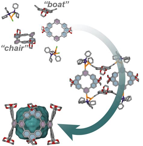 Toc Revised Dumelelab