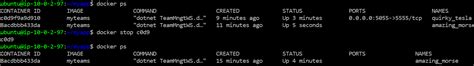 Docker On Linux Containerizing A C Net Api Service
