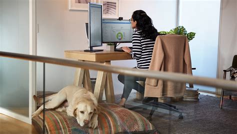 How Microsoft 365 Improves Productivity Glitch It