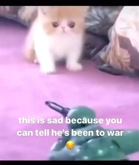 Johnny Quick Rmishifu