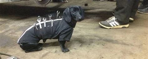 Мото и Авто запчасти из Китая Привезу Мото и Авто Запчасти Товары из Китая Сроки до 14 дней