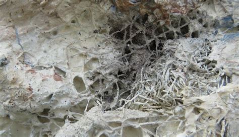 Andrew Hardwick The Dartmoor Collective