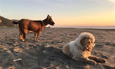 Me And Sis Staring Into The Sea Rule R 196