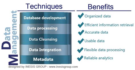 Data Management Independent Network Of Experts In Statistics And