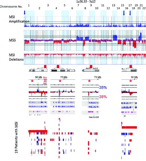 frequency profiles of copy number aberrations from 89 mss middle