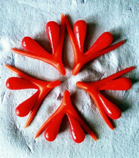 Sex Ed Start Up Of The Month Sex Ed