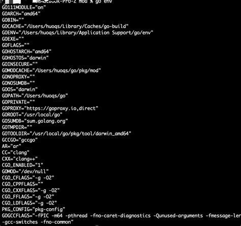 golang 设置环境变量 mac，linux 混下来 博客园