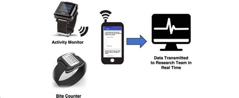 Ema System And Components Download Scientific Diagram