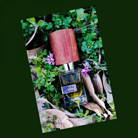 Hindu Grass Nasomatto Perfume A Fragrance For Women And Men 2008