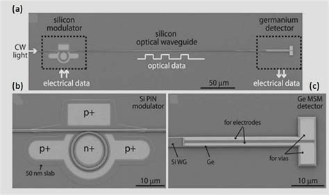 Silicon Photonics Sensors For Biophotonic Applications A Tutorial Silicon Photonics Sensors For Biophotonic Applications A Tutorial