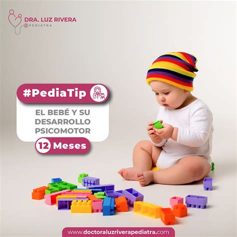 El Bebé Y Su Desarrollo Psicomotor 12 Meses Dra Luz Rivera Pediatra