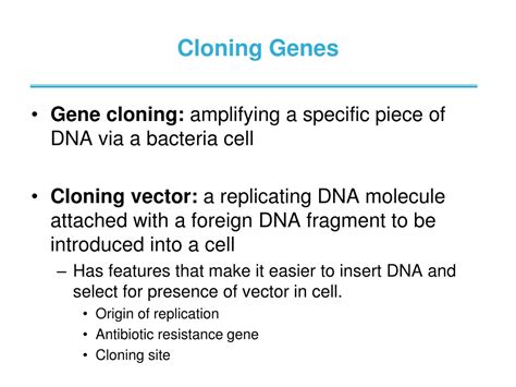 Ppt Cloning Genes Powerpoint Presentation Free Download Id950