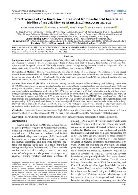 Pdf Effectiveness Of Raw Bacteriocin Produced From Lactic Acid Bacteria On Biofilm Of